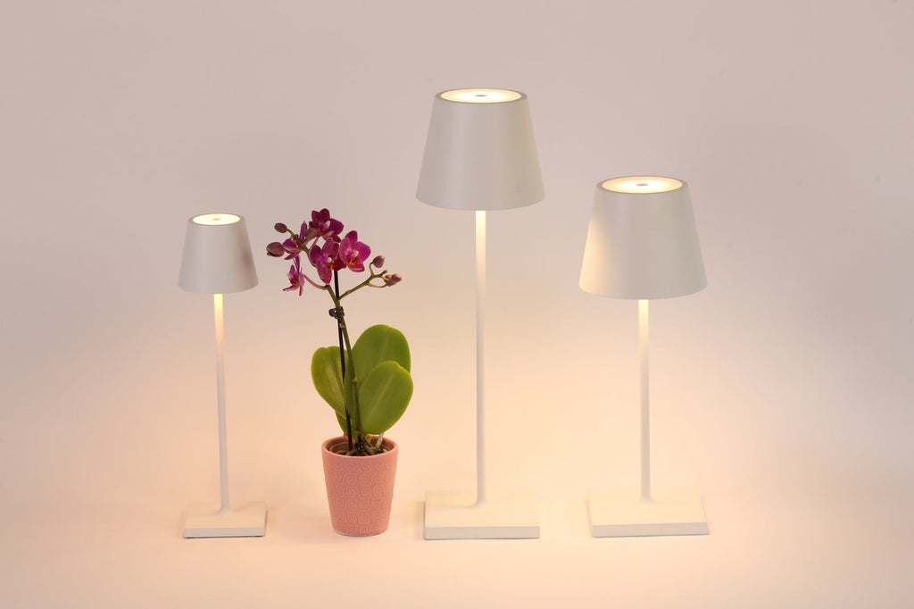Poldina Pro Micro Table Lamp – Nell